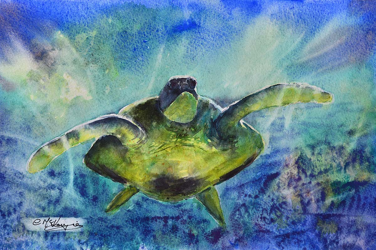 w green bayou turtle - Carrie McKenzie